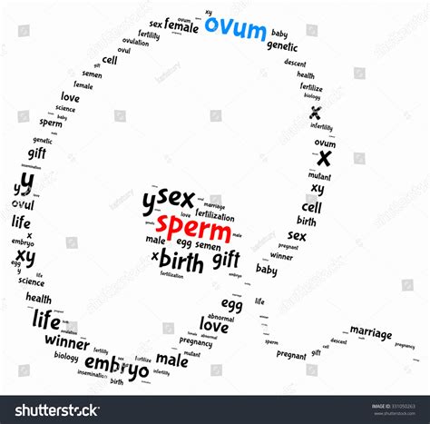 Illustration Sex Education Concept Modern Word Stock Illustration Shutterstock