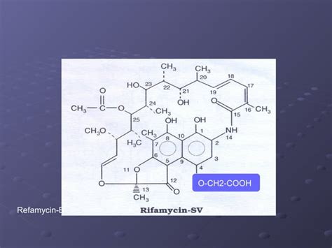Rifampicin Ppt Ravi Medicinal Chemistry Ppt