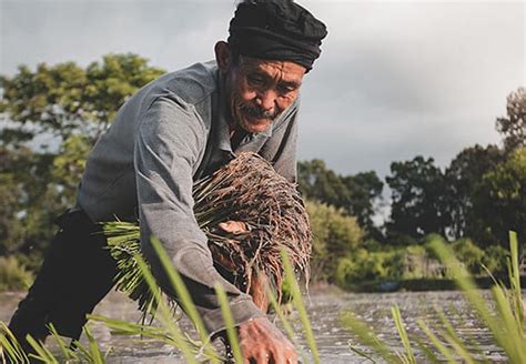 slick slider multiple options coder wrap offers a collection of