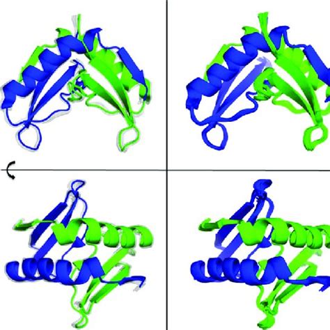 Nmr Solution Structure Of Hvo2922 Protein Ribbon Representation Of Download Scientific