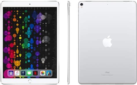 Apple Ipad Pro 1generation 256gb Wifi Silber 105 Retina Display