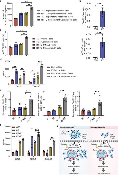 Vaccine And Radiation Induced Chemokines Promoted The Migration Of The