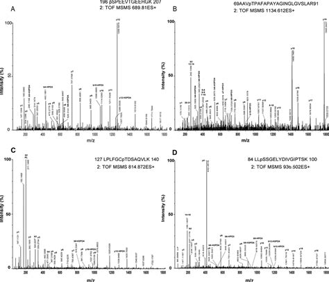 Identification Of Phosphorylation Sites Using Tandem Mass Spectrometry Download Scientific