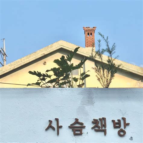 사슴책방