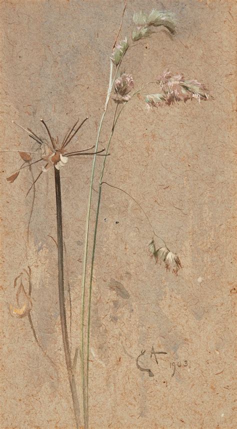 Cocksfoot Grass By Edwin John Alexander Fine Art Print
