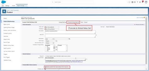 How To Promote Existing Multi Select Picklist Field Value As Global
