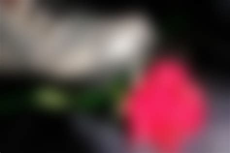 Один маленький мальчик когда его спросили что такое Прощение дал чудесный ответ «Это аромат