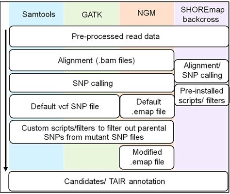 Overview Of Workflow For Different Snp Calling Pipelines The Download Scientific Diagram