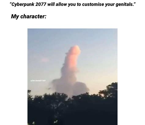 Cyberpunk 2077 Genitals Are Cool R Memes