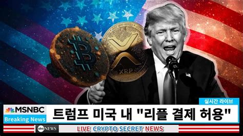 트럼프 미국 내 리플 결제 허용 리플코인 Xrp 리플나스닥상장 리플대응 리플전망 리플속보