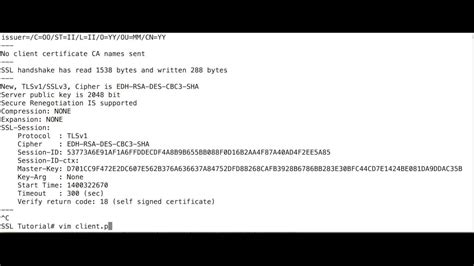 Ssl Adding Server Public Certificate To Client Keystore Youtube
