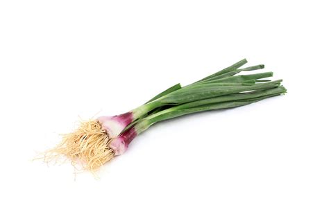 Chinese Leek Cameron 蒜 Freshveggies Sg