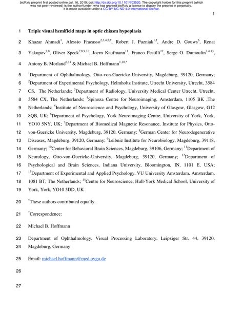 Pdf Triple Visual Hemifield Maps In Optic Chiasm Hypoplasia