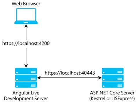 asp core 8 and angular web development ebook