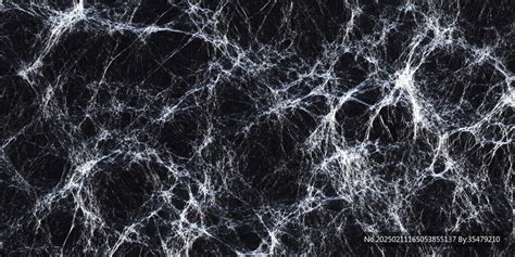 Ai创作图神经元细胞 神经元结构 神经胶质细胞 大脑中的神经元 人工神经网络 神经网 神经细胞 神经网络化 太阳神经丛 神经网络艺术 神经元发育 神经线路 中间神经元 神经线 神经通路