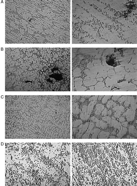 Shrinkage Porosities For A356 Aluminum Alloy Casting Wedge Download Scientific Diagram