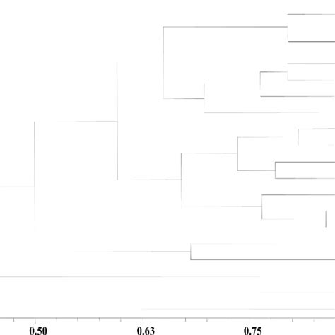 Dendrogram Showing Genetic Diversity Of Genotypes Based On Globulin