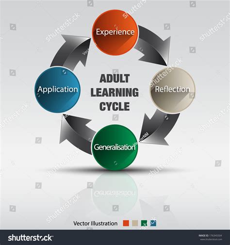 Adult Learning Cycle Vector Illustration Stock Vector Royalty Free