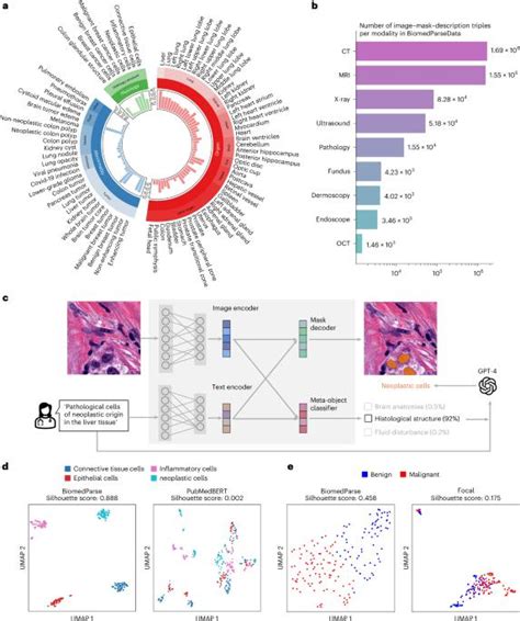 A Foundation Model For Joint Segmentation Detection And Recognition Of Biomedical Objects