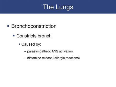 The Respiratory System Ppt Download