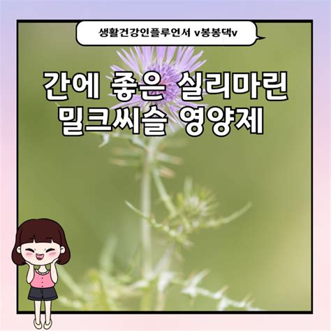 간에 좋은 실리마린 밀크씨슬 영양제 고르는 방법 Check 네이버 블로그