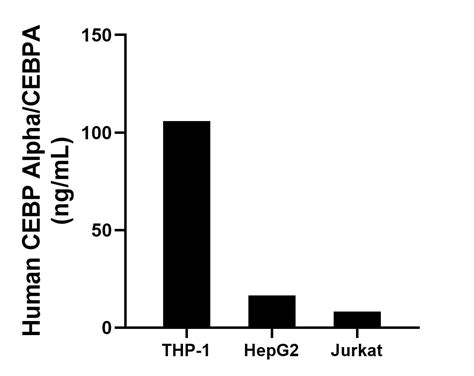 Cebp Alpha Cebpa Antibody 84668 1 Pbs Proteintech
