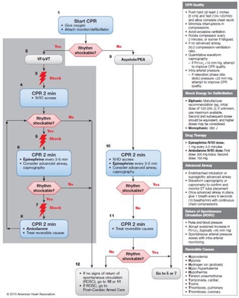 Chapter Cardiac Arrest Part PEA Aystole ACLS BLS PALS Trauma Certification Online