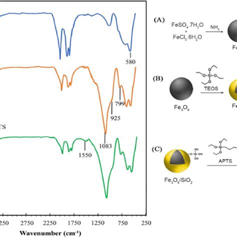 Ftir Spectra For A Fe 3 O 4 Mnps B Fe 3 O 4 Sio 2 Sio 2 Download Scientific Diagram