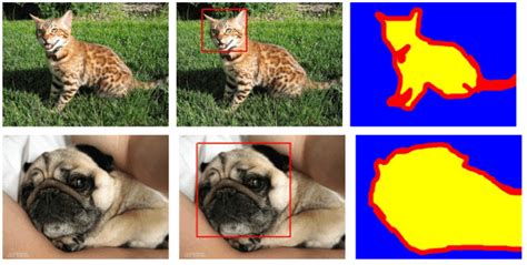 Looking For A Single Object Localization Segmentation Dataset R Computervision