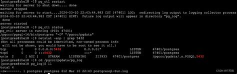 狂飙linux平台，postgresql16部署大全postgresql 16 Csdn博客