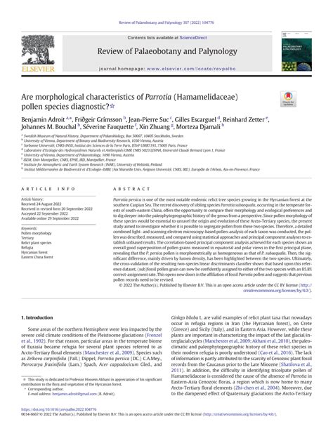Pdf Are Morphological Characteristics Of Parrotia Hamamelidaceae