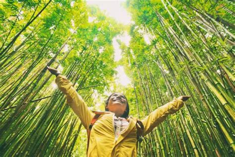 Sugerencias Para Viajar De Forma Sostenible Y Ecológica