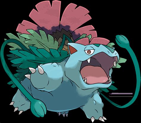 Pokemon Mega Evolution Venusaur