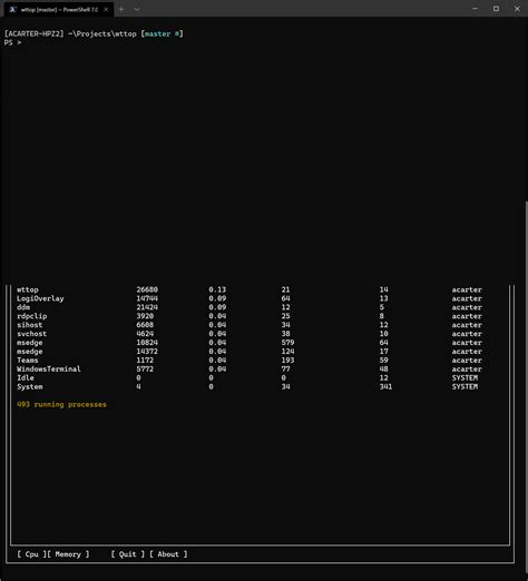 Terminal Is Messed Up If You Resize While Running Wttop Issue 9
