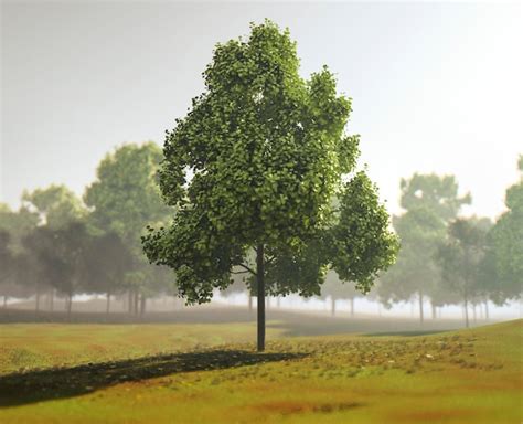Premium Photo 3d Render Of A Tree In A Field