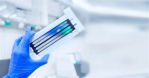 Indias Next Generation Sequencers Market To Post 11 Cagr Through 2033 Healthcare Asia Magazine