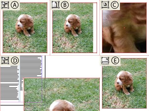 Quick Tip Working With Text Wrap And Fit Content Options In Adobe