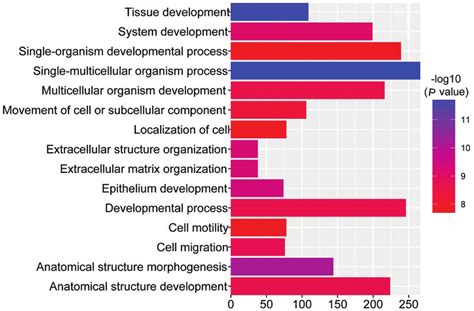 Top 15 Significant Enrichment Biological Processes Of Degs Download