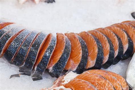 Хүнсийг ямар нөхцөлд хэр удаан хадгалах тохиромжтой вэ