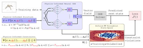 Neural Networks With Physics Informed Architectures And Constraints For Dynamical Systems