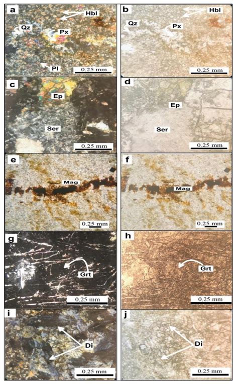 Photomicrographs Under Cross Polarized Light And Plane Polarized Light
