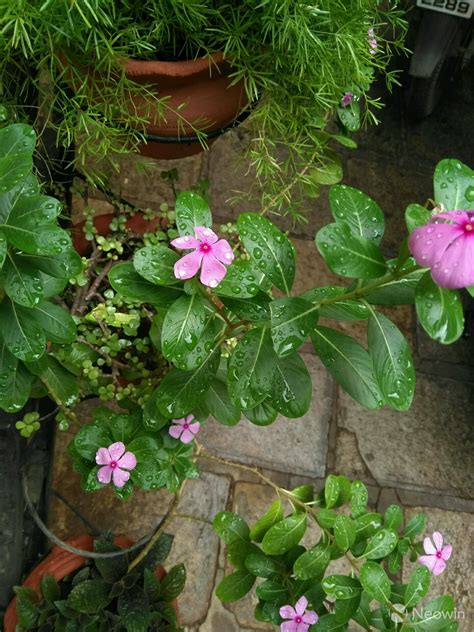 Xiaomi Redmi Note X Review A Well Tested Formula Continues To Deliver Neowin