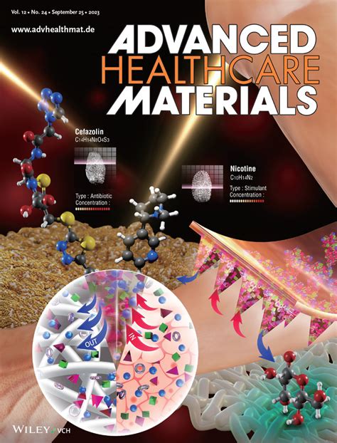 A Sonoresponsive And Nir‐ii‐photoresponsive Nanozyme For Heterojunction
