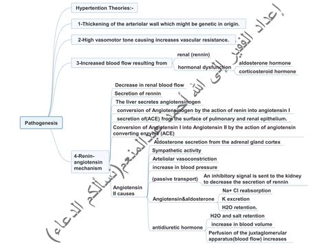 Pathophysiology Mindmap Ppt