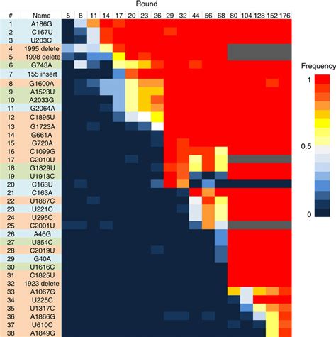 Varying Fixation Dynamics Of The Mutations The Frequency Of Each Download Scientific Diagram