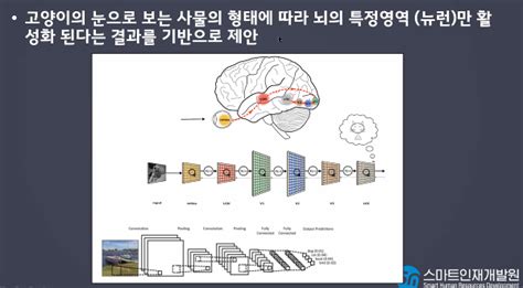 Deep Learning Cnn Convolutional Neural Network Padding Stride