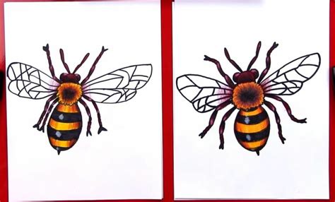 How To Draw A Bee Easy Drawing Projects