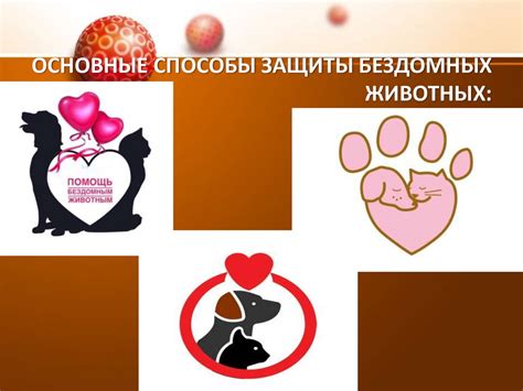 Защита бездомных животных презентация онлайн