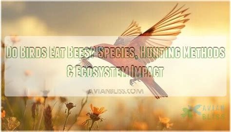 Do Birds Eat Bees Species Hunting Methods And Ecosystem Impact