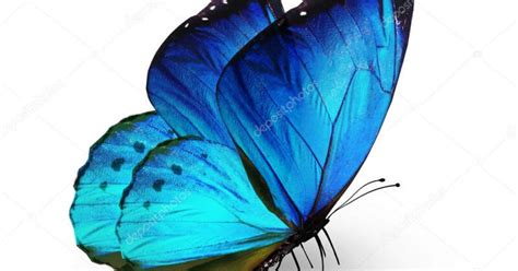 Річна контрольна робота з біології 7 клас Інші методичні матеріали Біологія